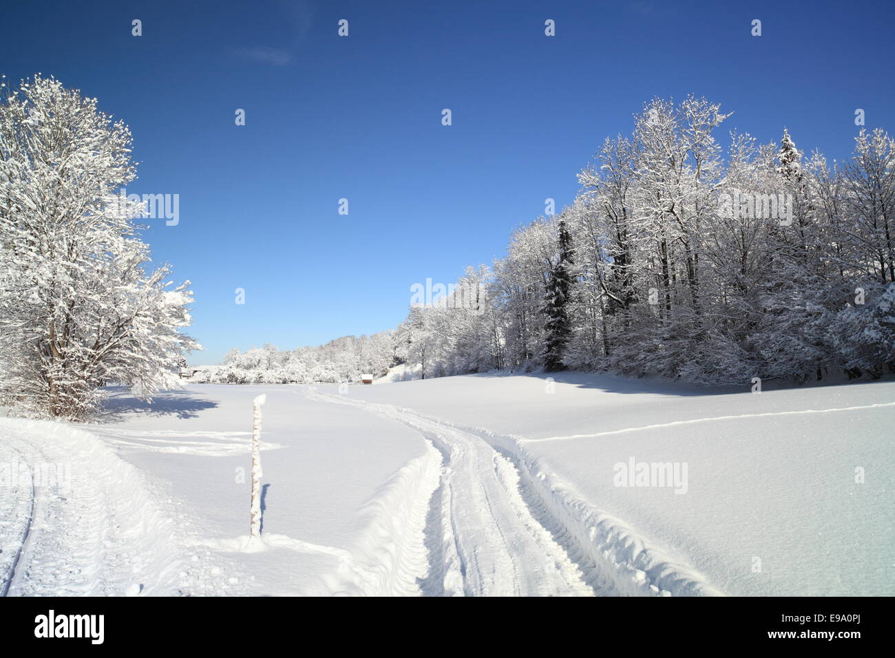 snow in nature Stock Photo - Alamy
