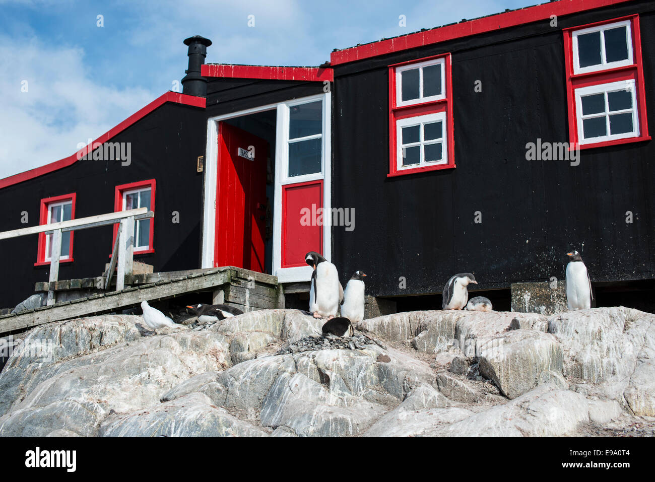 Port Lockroy, Antarctic peninsula Stock Photo - Alamy
