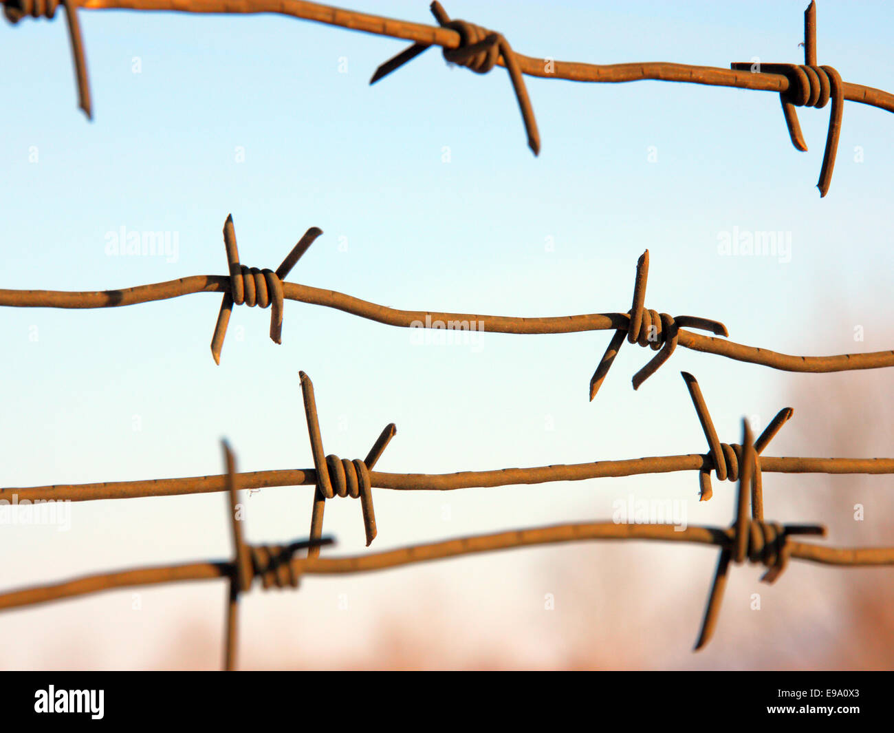 Barbed wires hi-res stock photography and images - Alamy