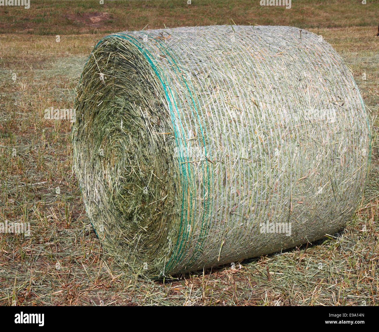 Summer harvested crop field hi-res stock photography and images - Alamy