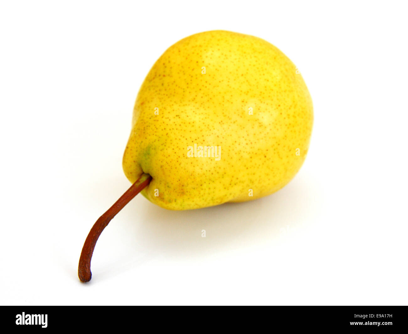 A single pear Stock Photo - Alamy