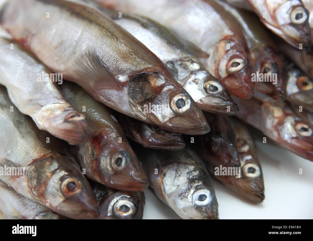 Sprats raw hi-res stock photography and images - Alamy