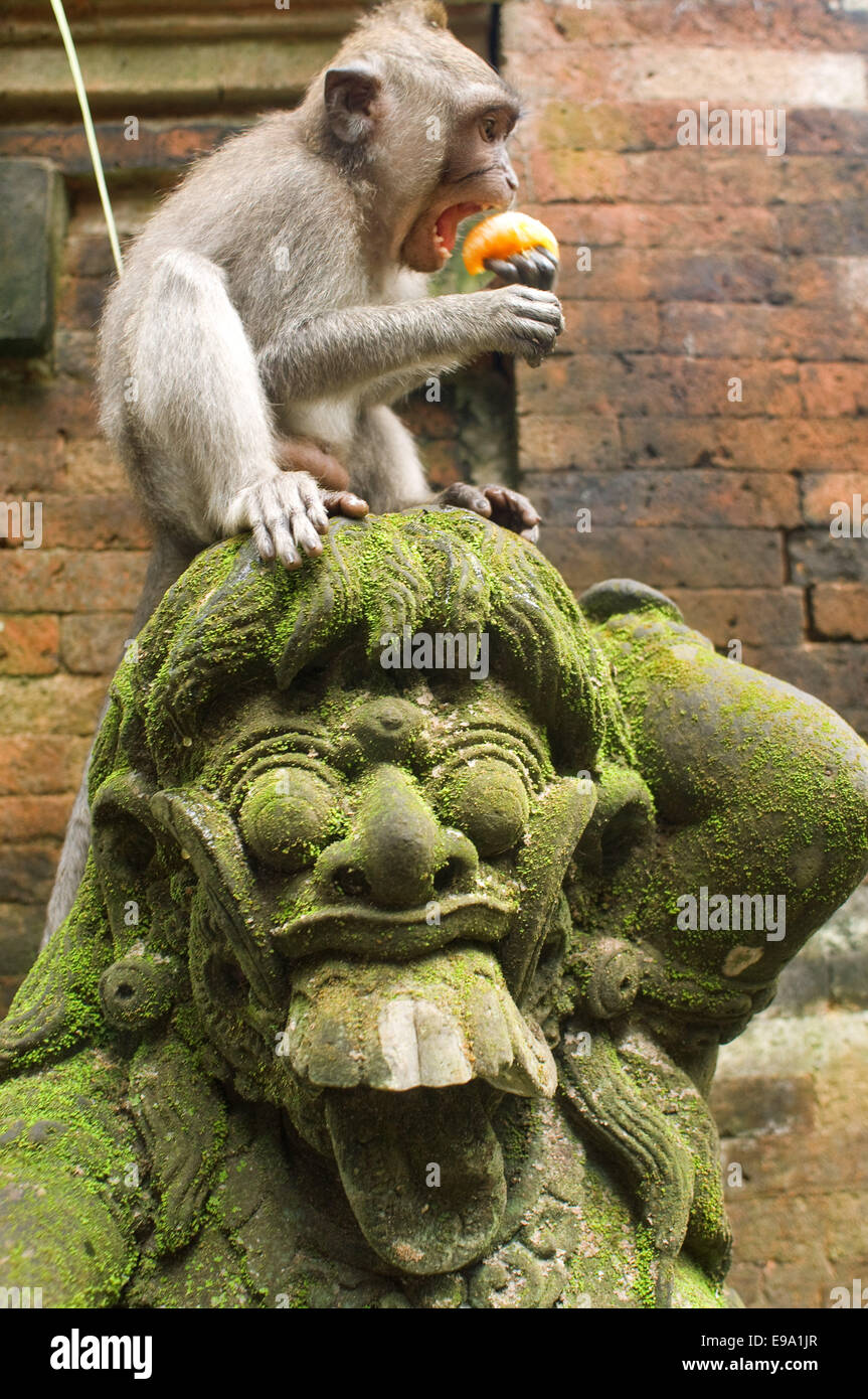 Monkeys having fun on stone statues of Hindu Holy Monkey Forest. Ubud ...