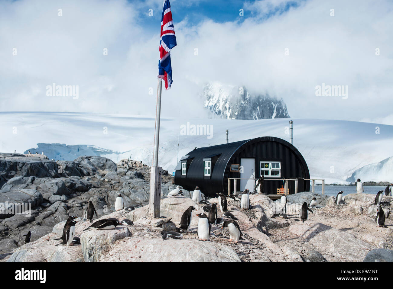 British antarctic base hi-res stock photography and images - Alamy