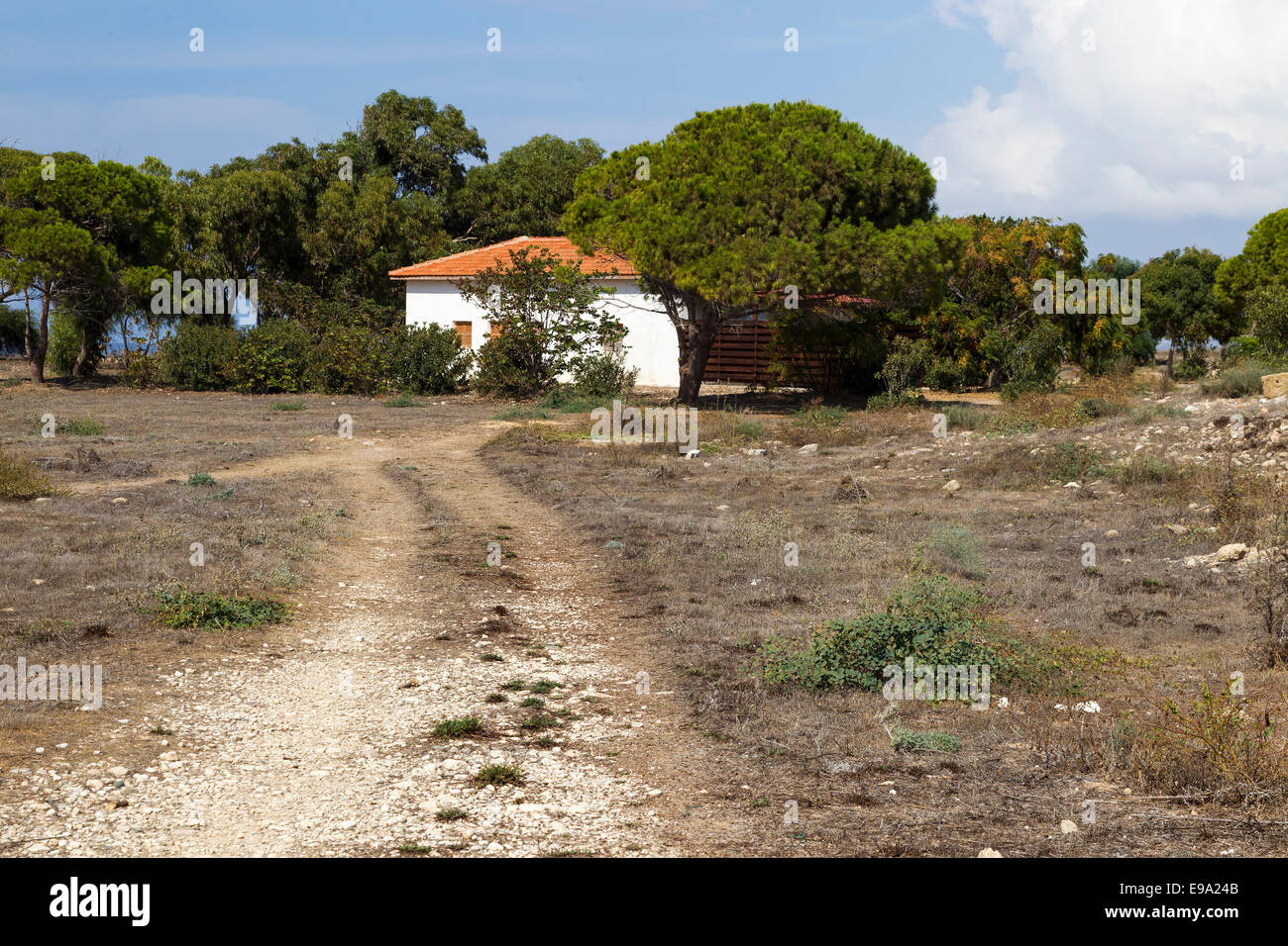Kato Paphos Archaeological Park Cyprus Stock Photo - Alamy