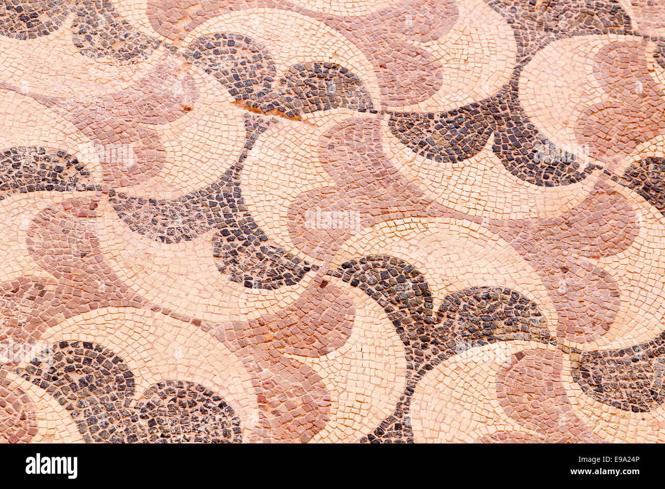 Kato Paphos Archaeological Park Cyprus Stock Photo - Alamy