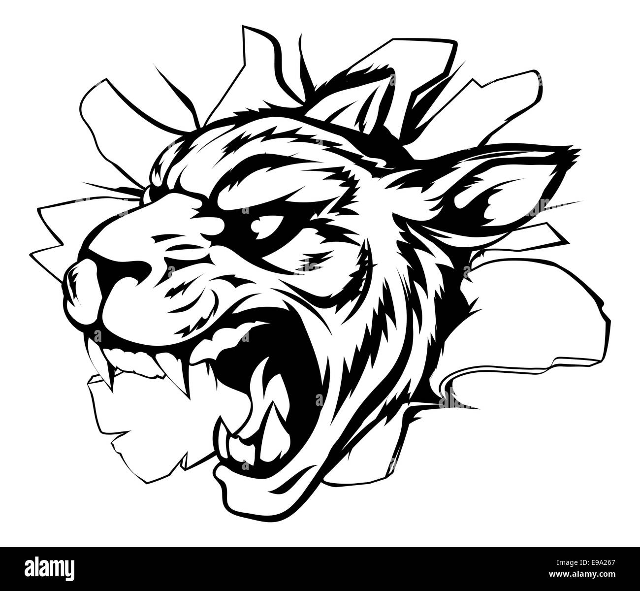 Cartoon fierce tiger mascot animal character breaking through a wall ...