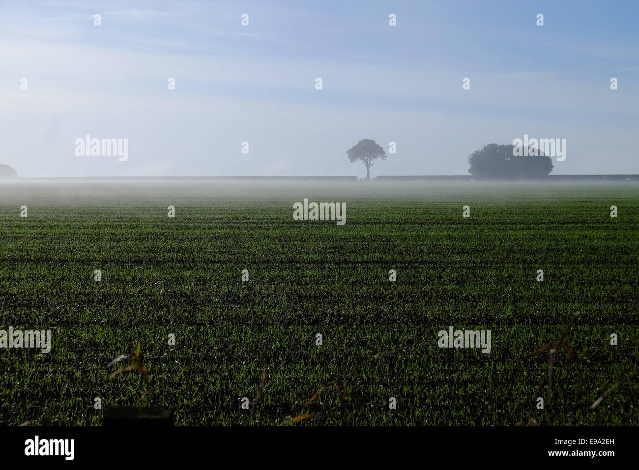 Field of sun light hi-res stock photography and images - Alamy