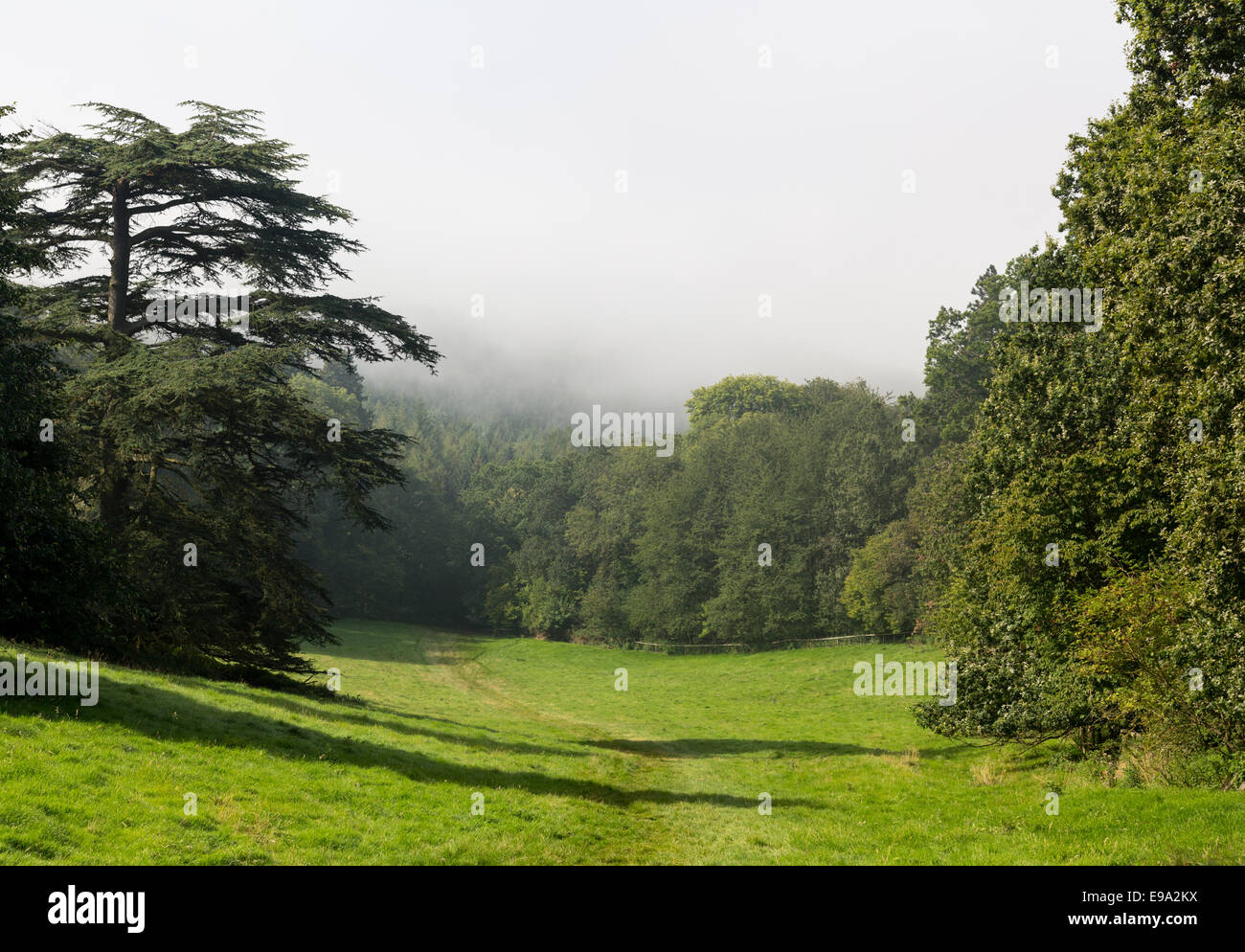 Rural scene in Cotswolds with fog Stock Photo - Alamy