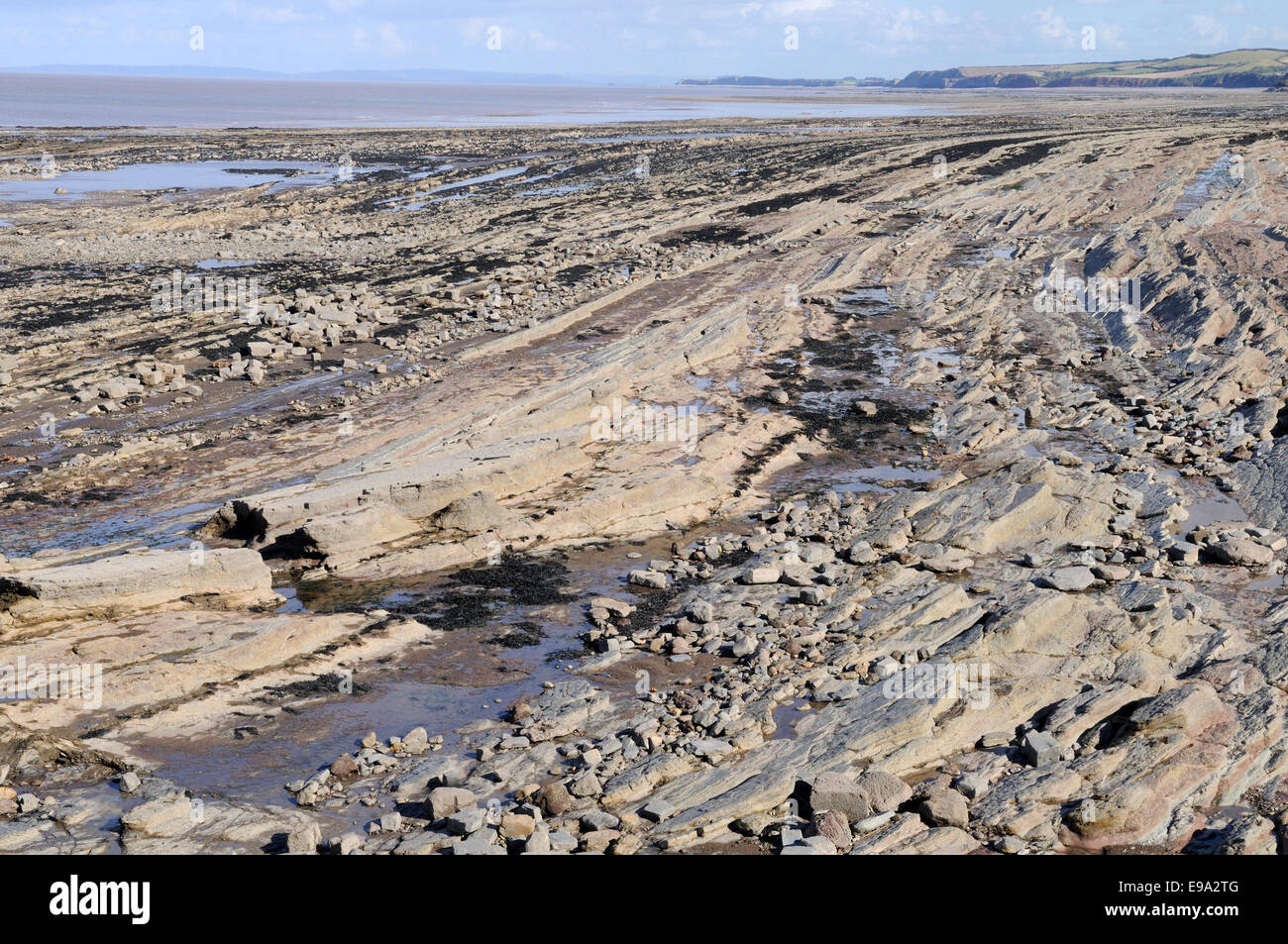 Rock Platforms at low tide Watchet Somerset England UK GB Stock Photo ...
