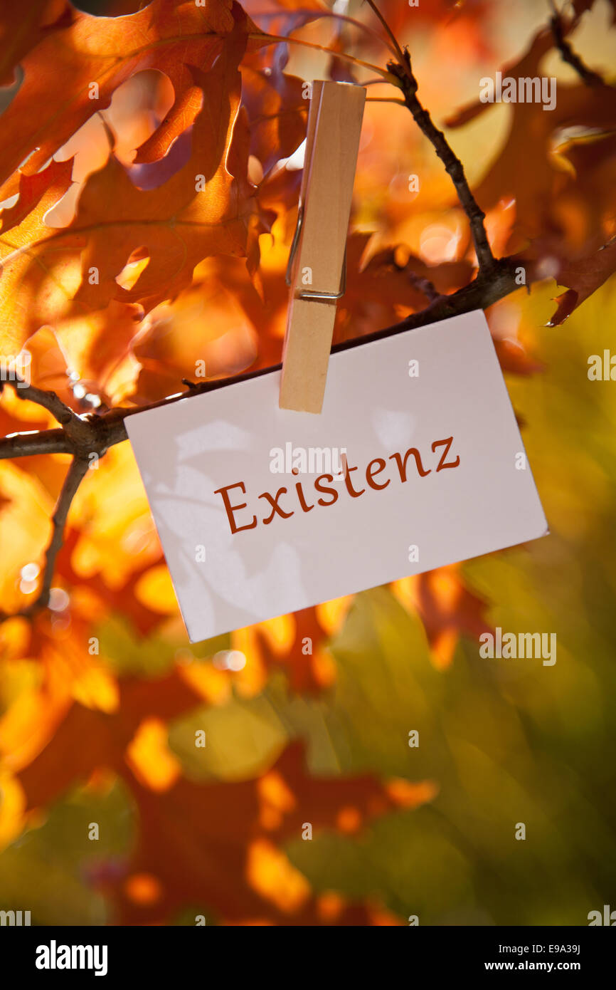 The word Existenz attached to a tree Stock Photo - Alamy