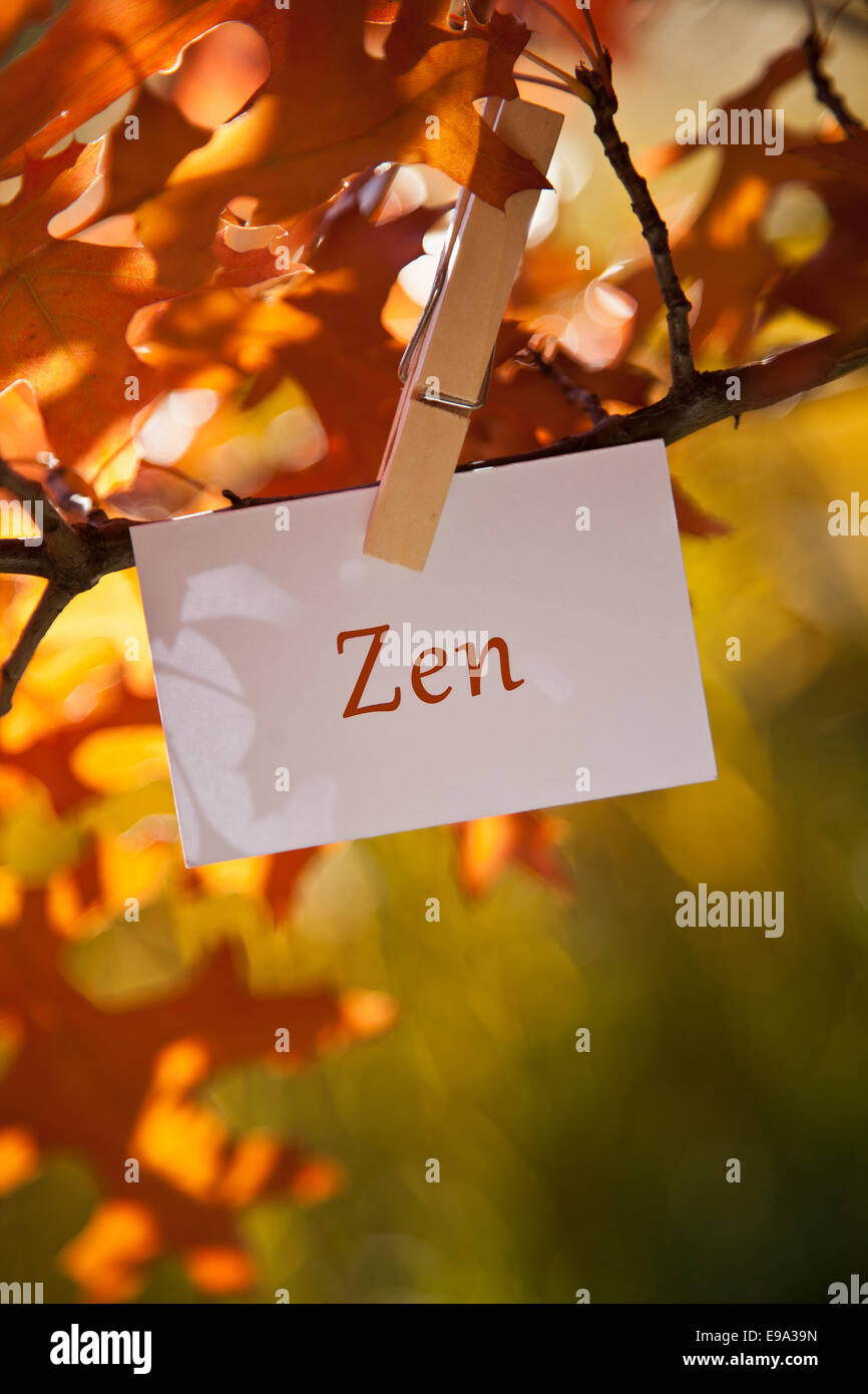 The word Zen“ attached to a tree Stock Photo - Alamy