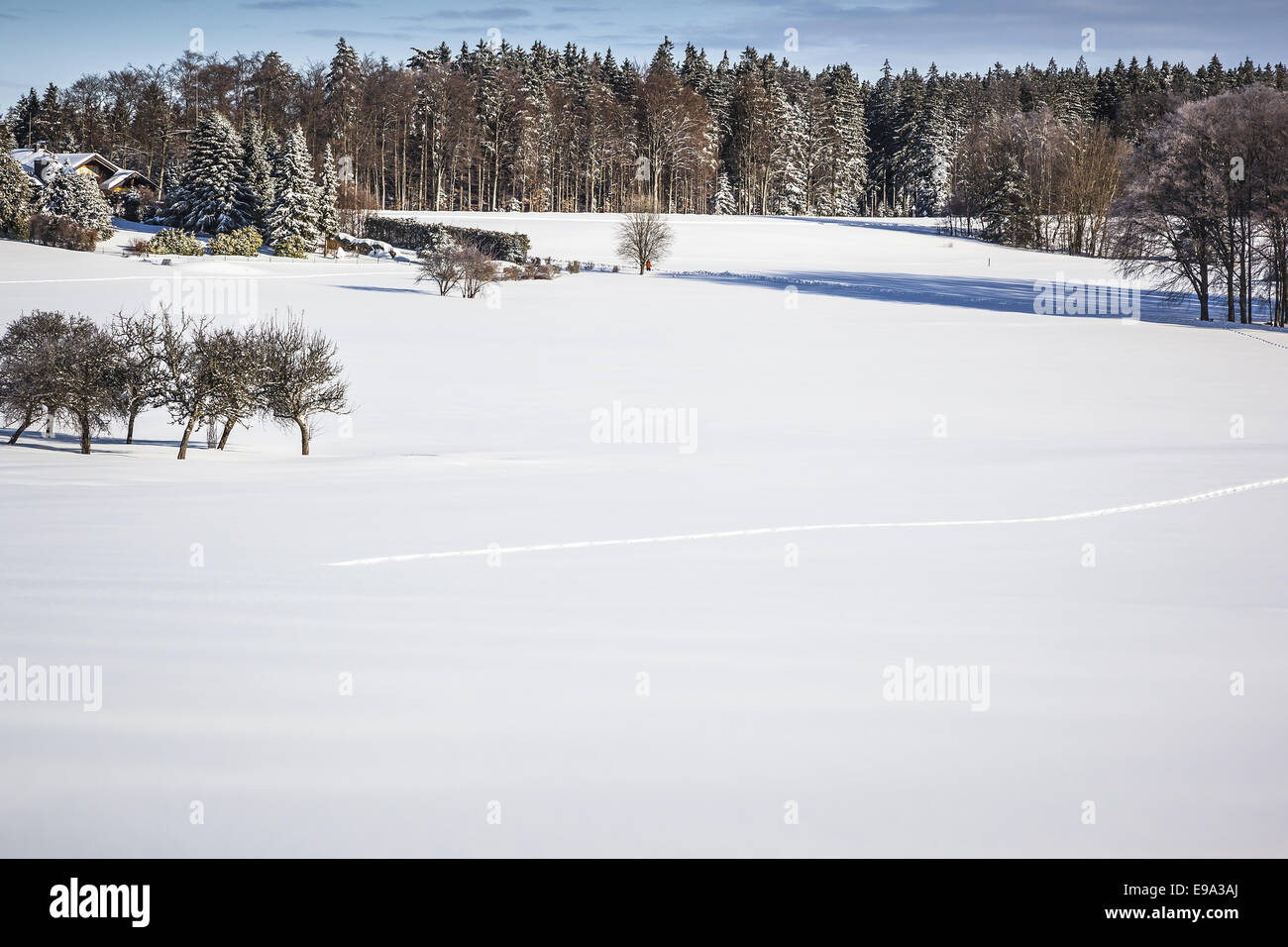 Dark winter scenery hi-res stock photography and images - Alamy