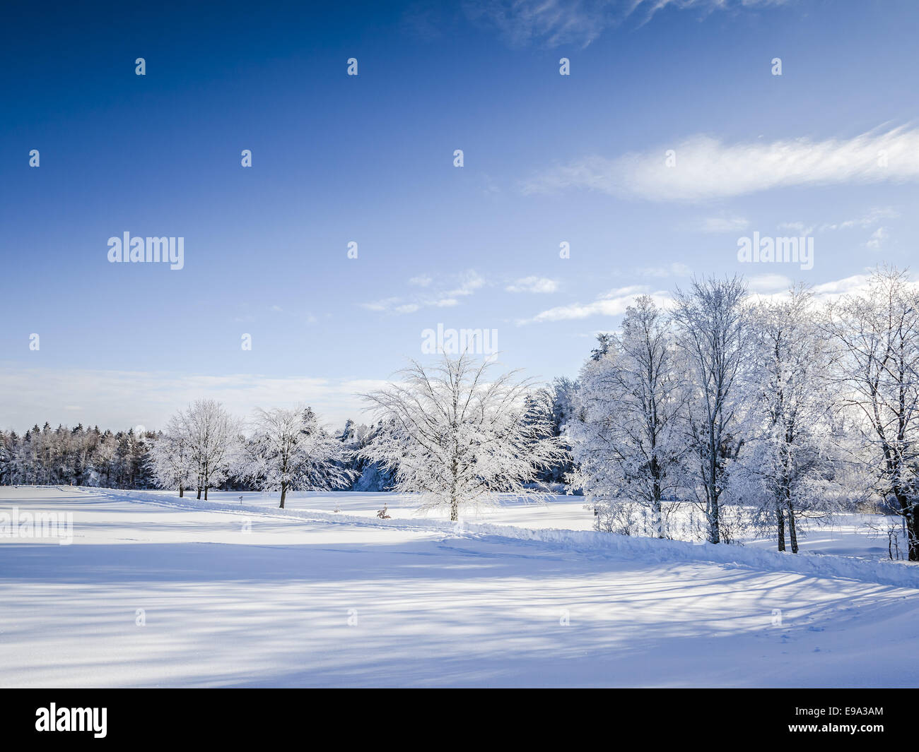 Dark winter scenery hi-res stock photography and images - Alamy