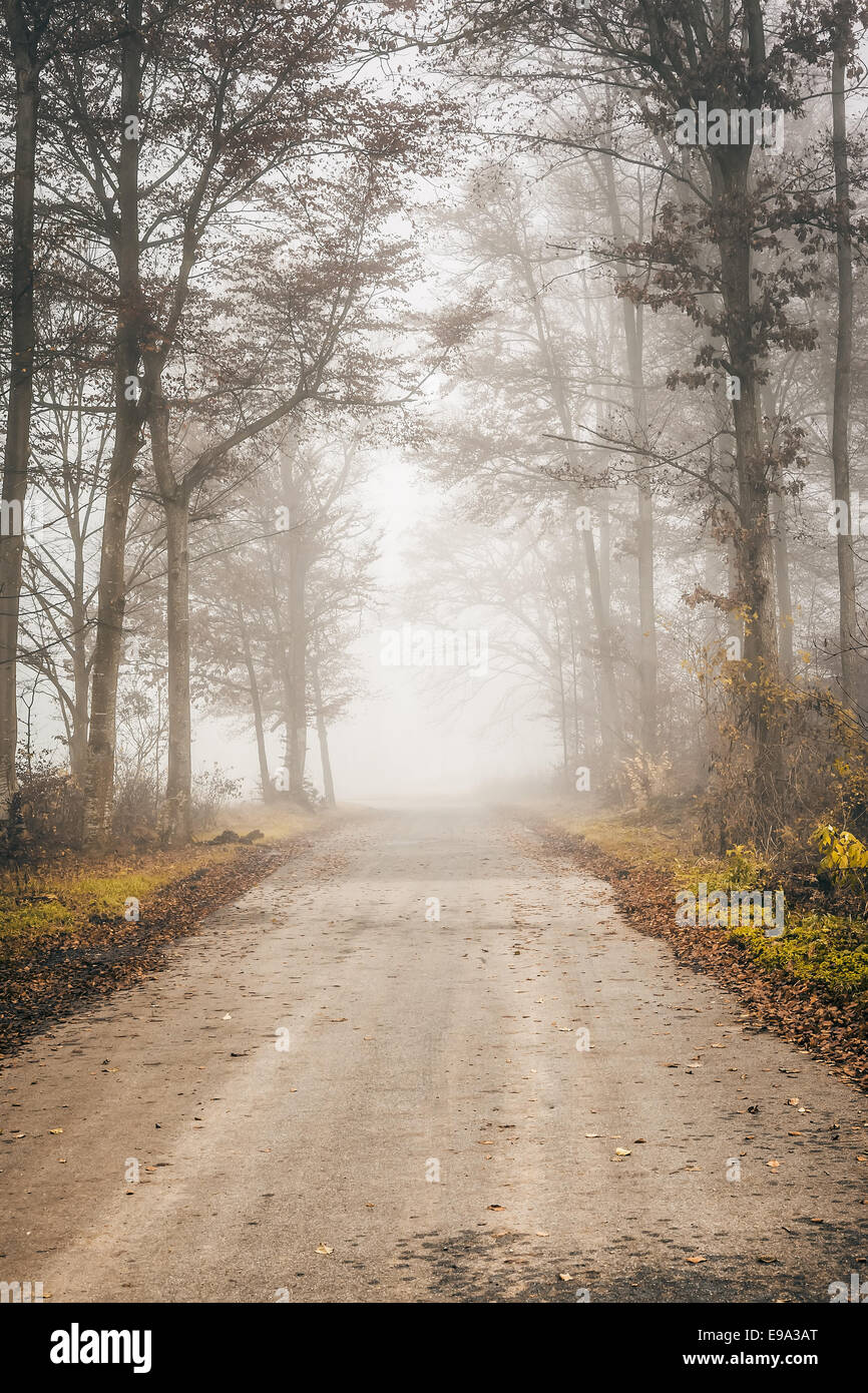 Misty flow hi-res stock photography and images - Alamy