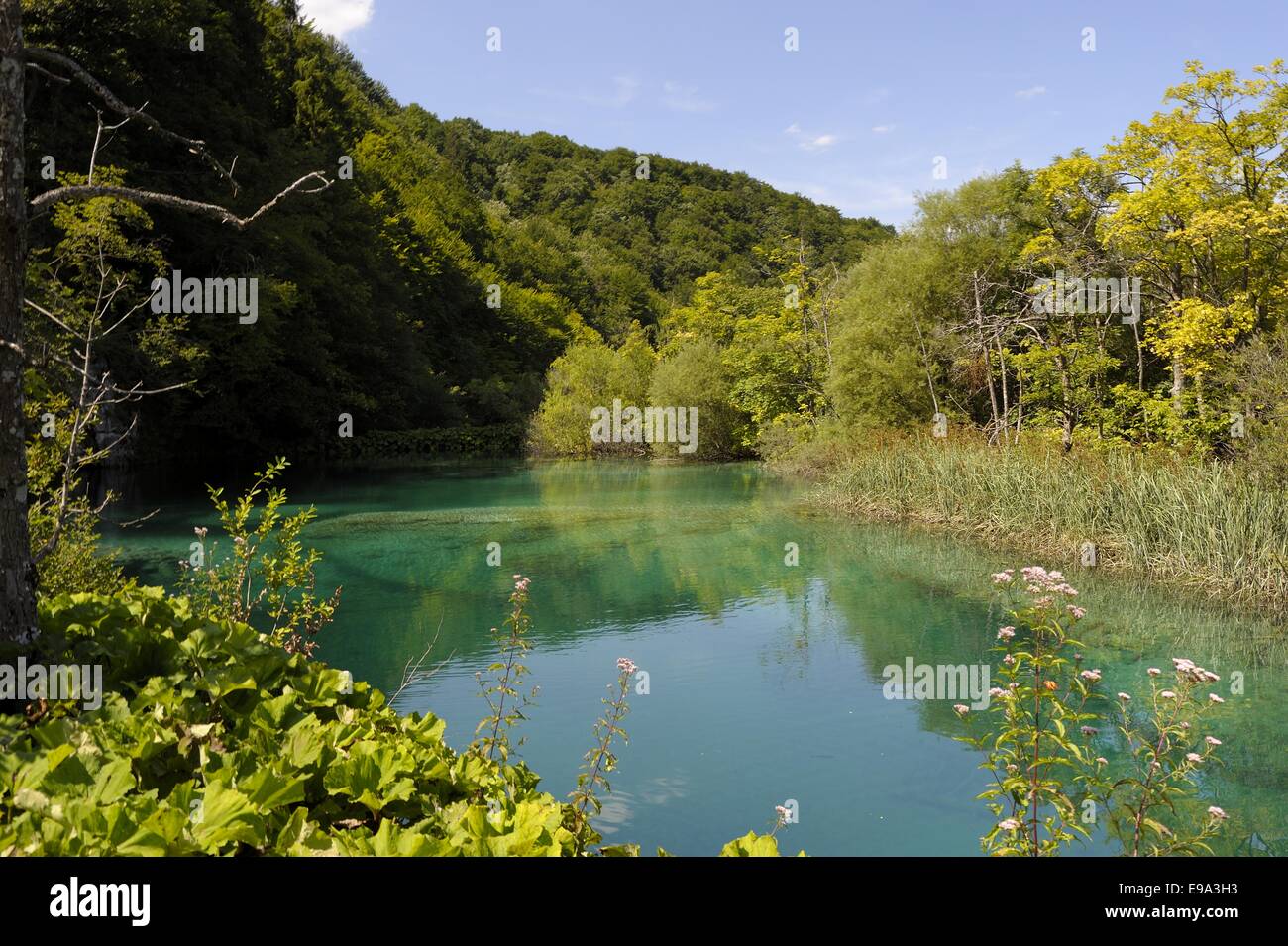 Cascade de plitvice hi-res stock photography and images - Alamy