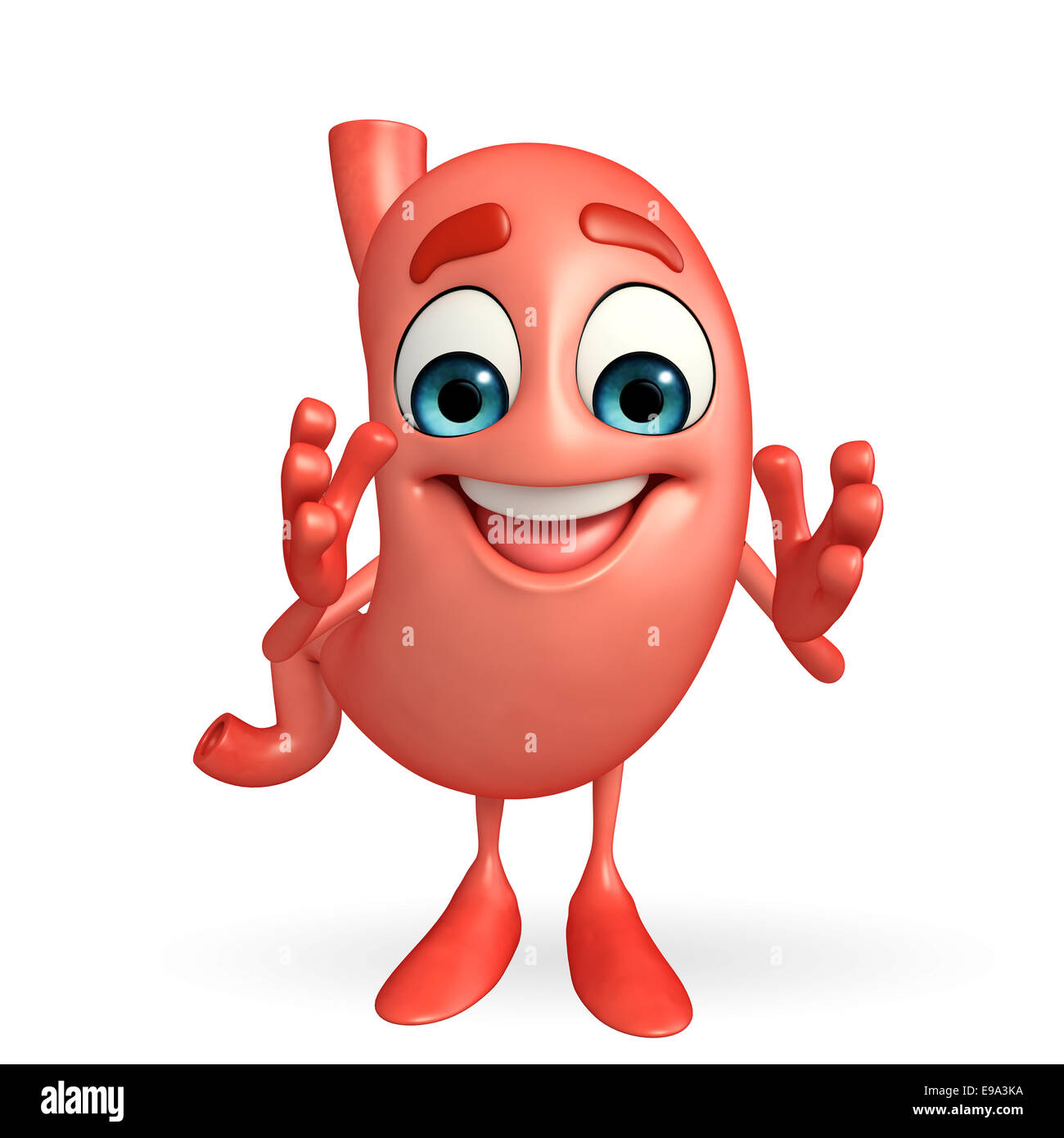 Cartoon Character of stomach with happy pose Stock Photo - Alamy