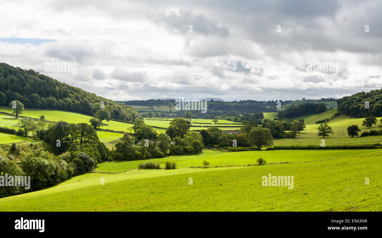 Panorama of welsh countryside Stock Photo - Alamy