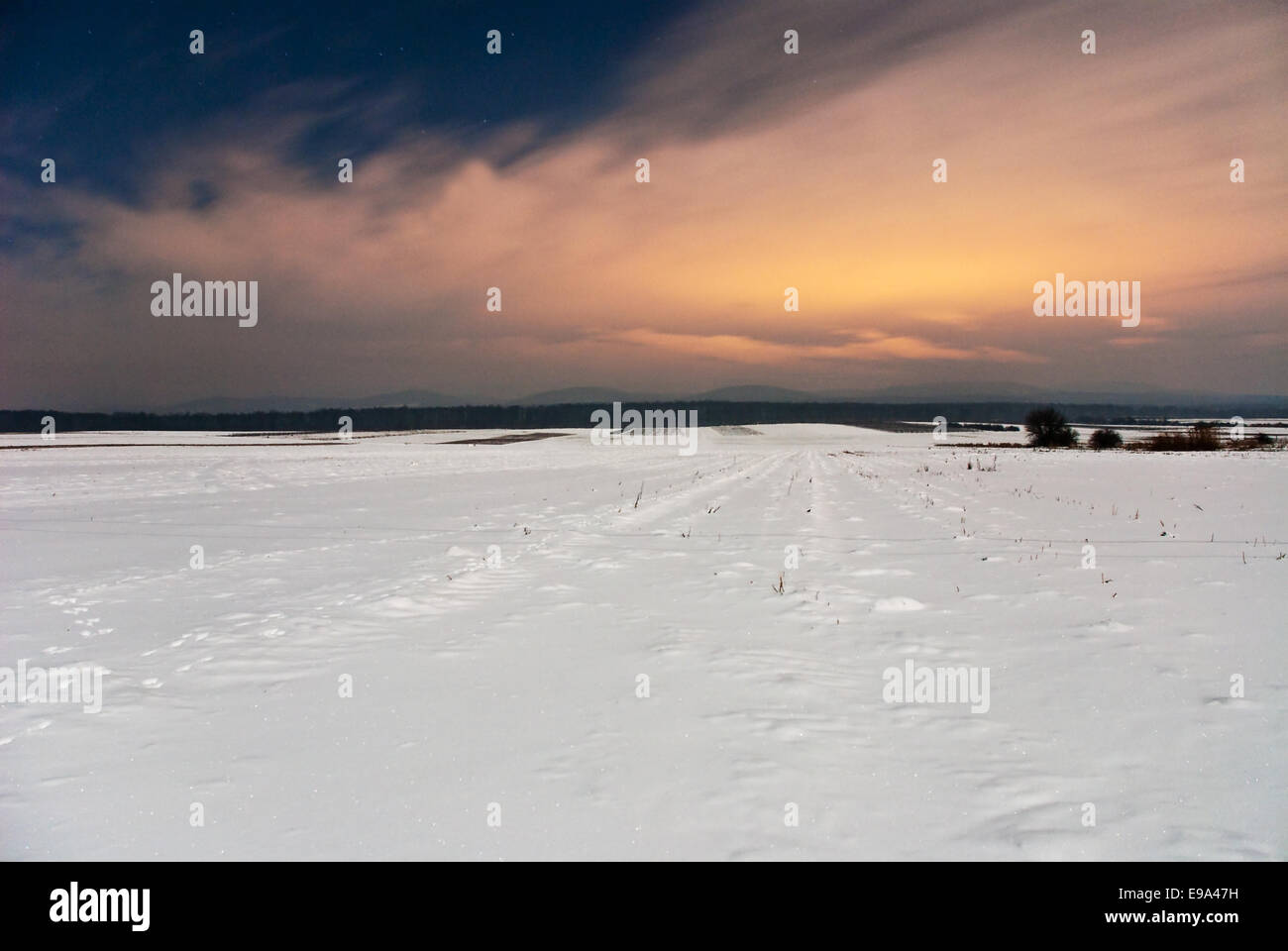 Winter landscape in the evening Stock Photo - Alamy