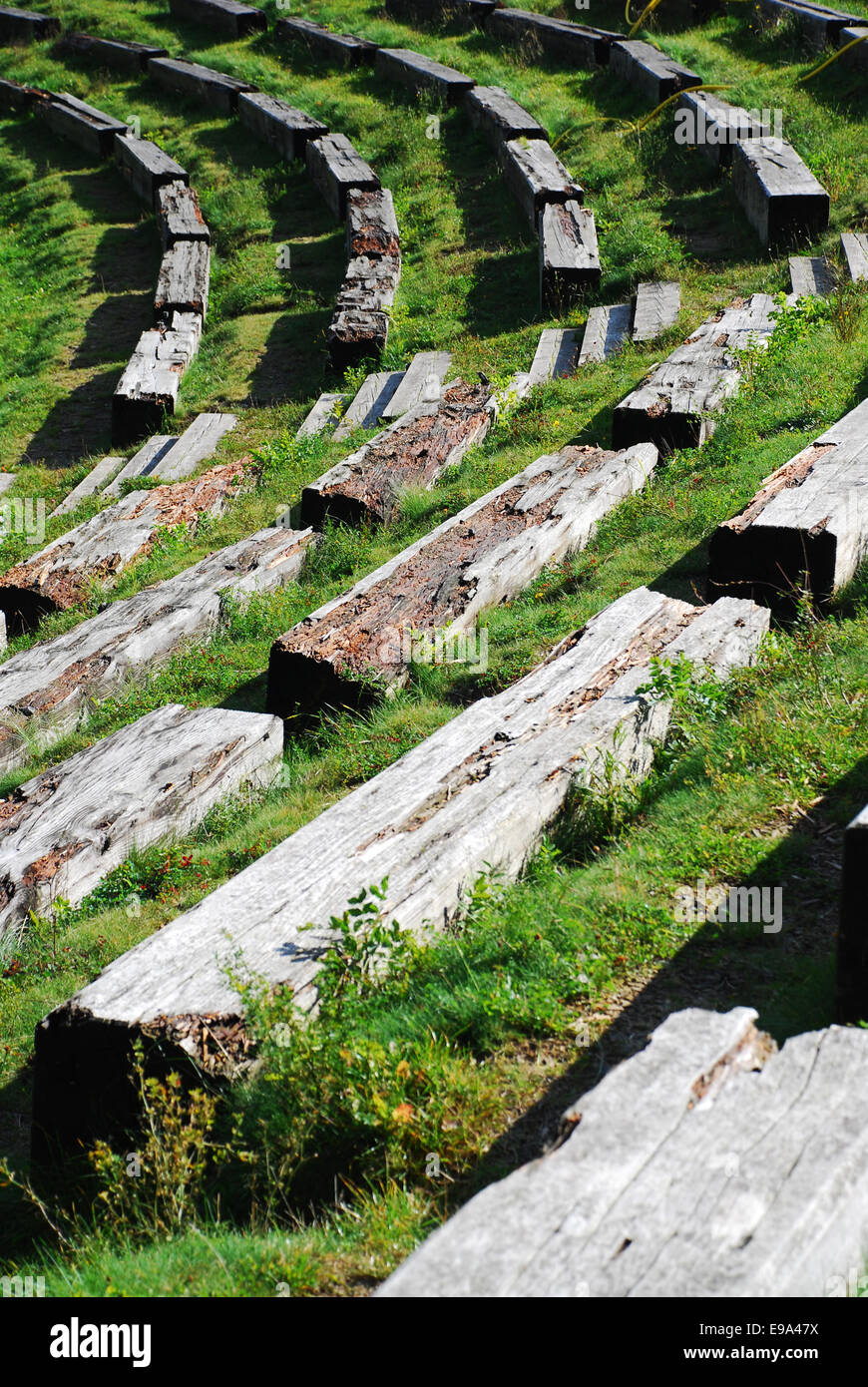 Seat row at tha arena Stock Photo - Alamy