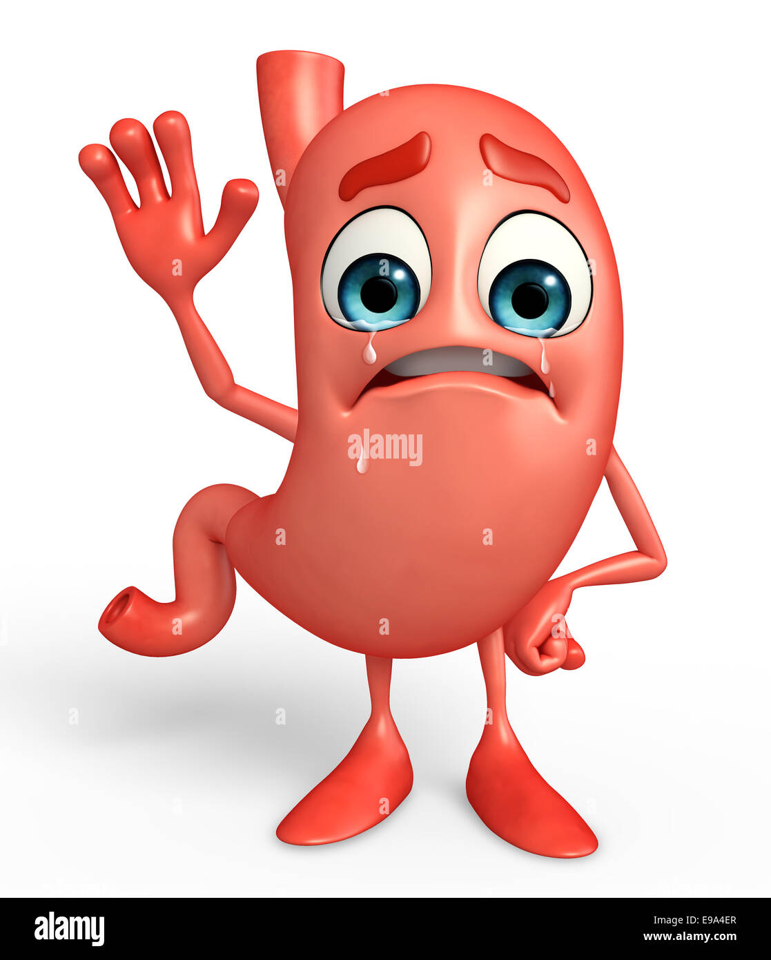 Digestive system cartoon hi-res stock photography and images - Alamy