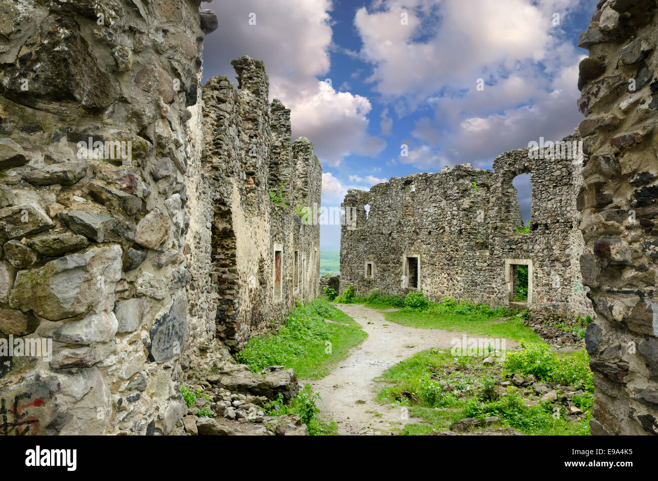 The ruins of Nevitsky castle Stock Photo - Alamy