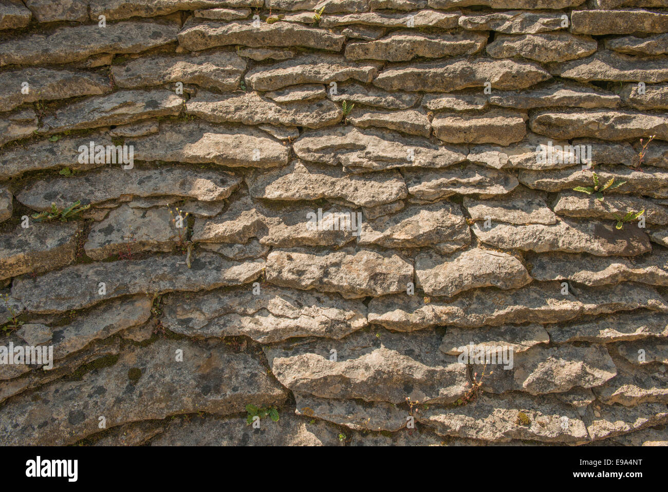 Lauze hi-res stock photography and images - Alamy