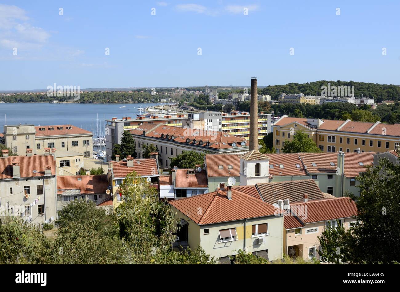 Pula tree hi-res stock photography and images - Alamy