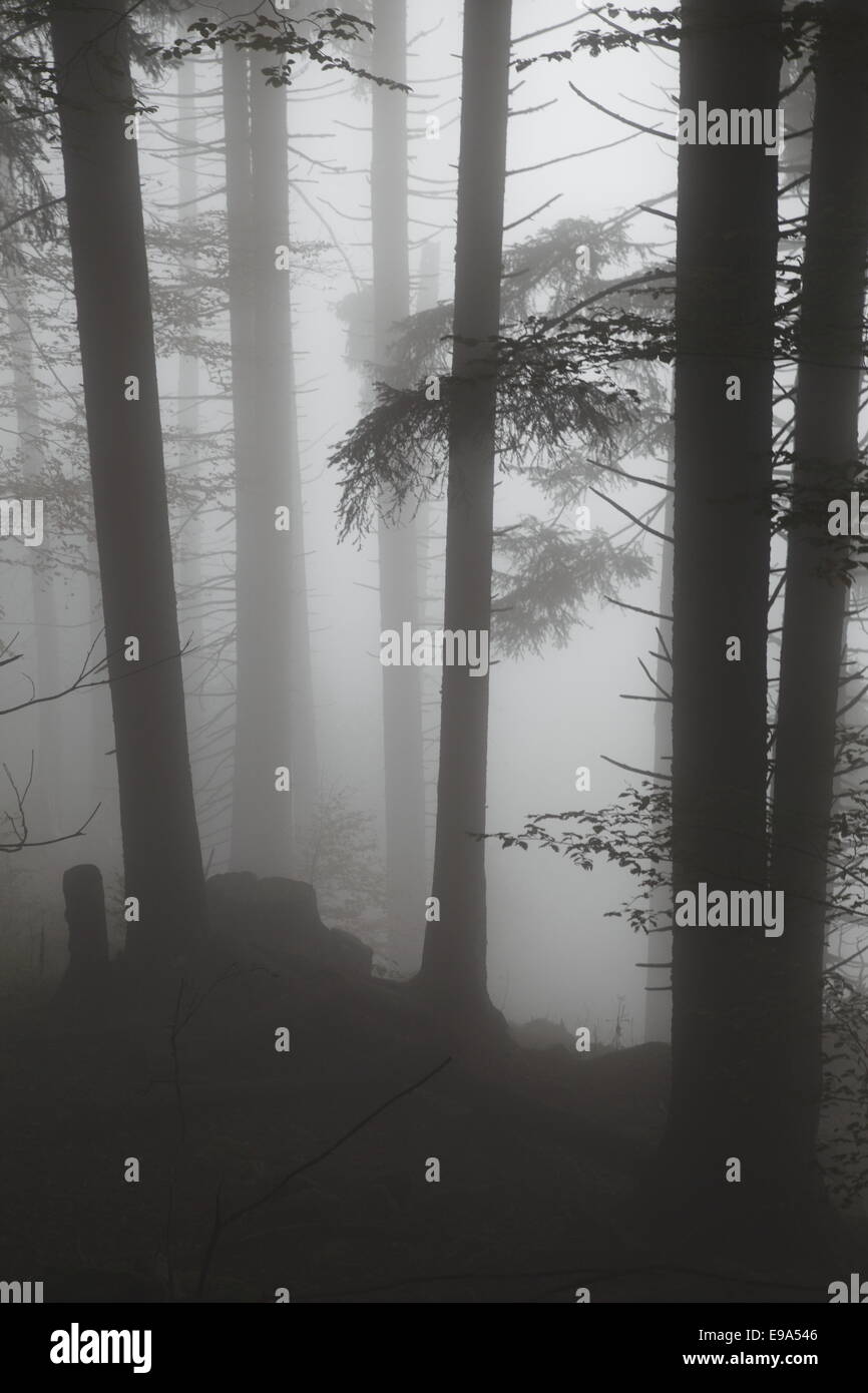 Naturpark hornergruppe hi-res stock photography and images - Alamy