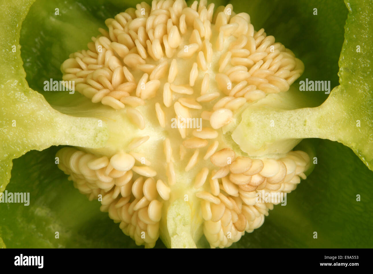 Bell pepper seeds hi-res stock photography and images - Alamy