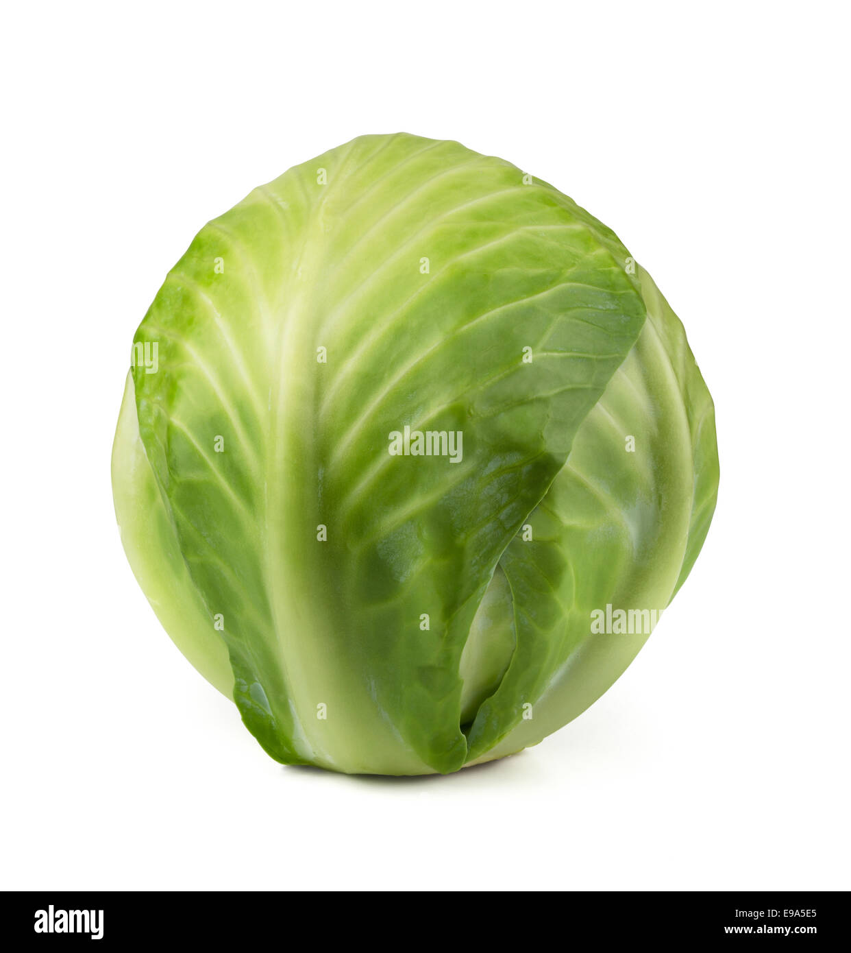 Cabbage image hi-res stock photography and images - Alamy