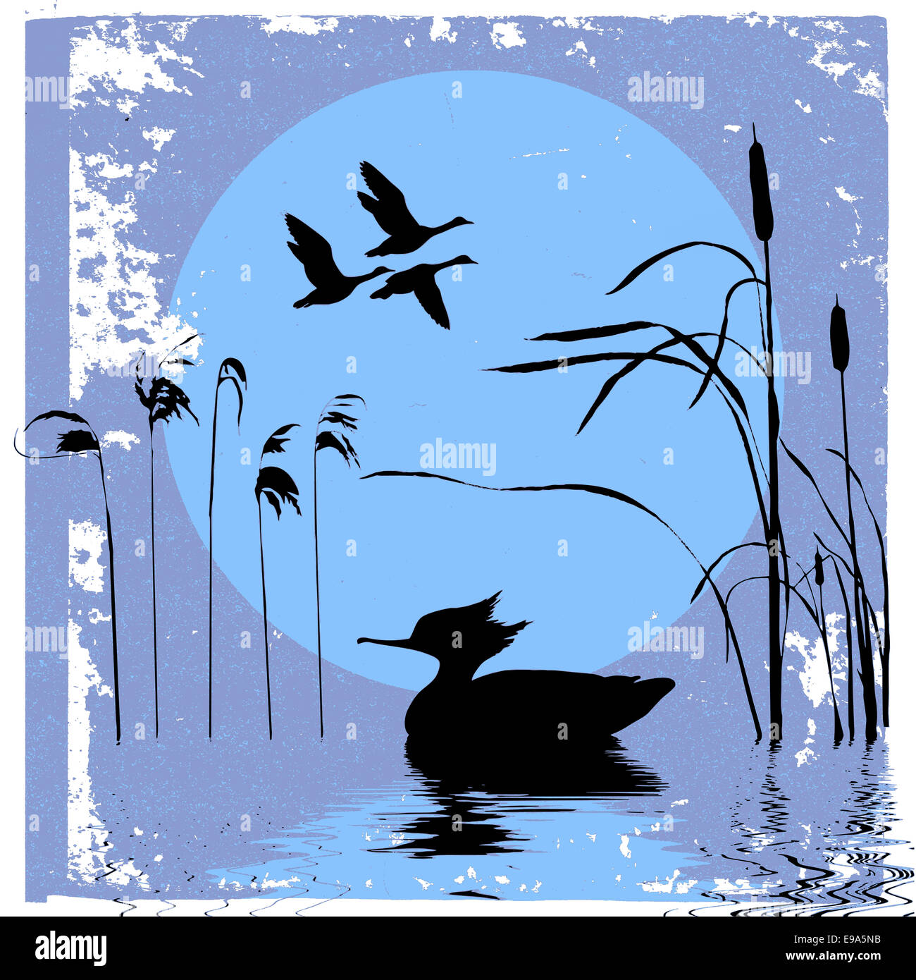 ducks silhouette on sunset background Stock Photo - Alamy