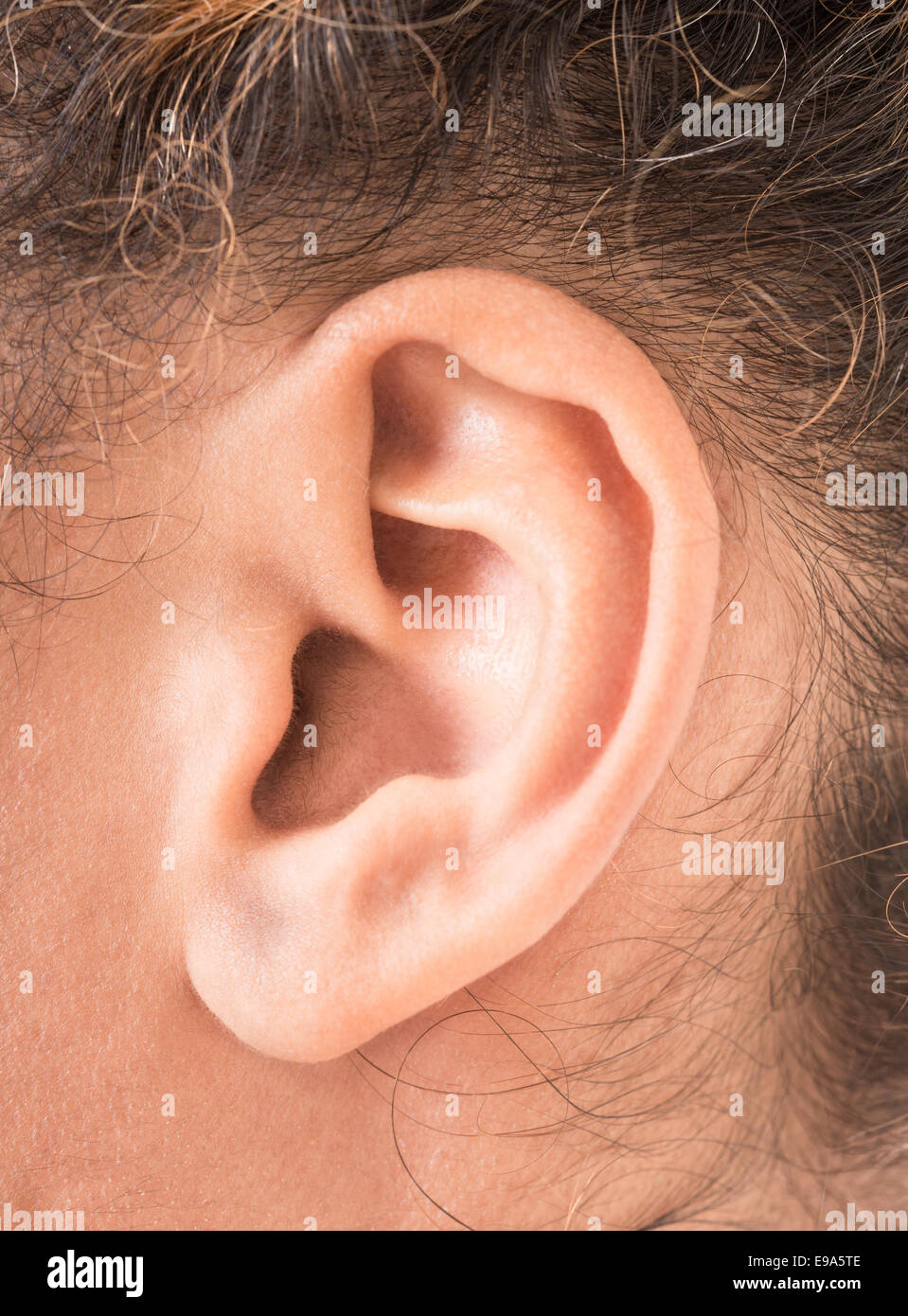 Ear drum hi-res stock photography and images - Alamy