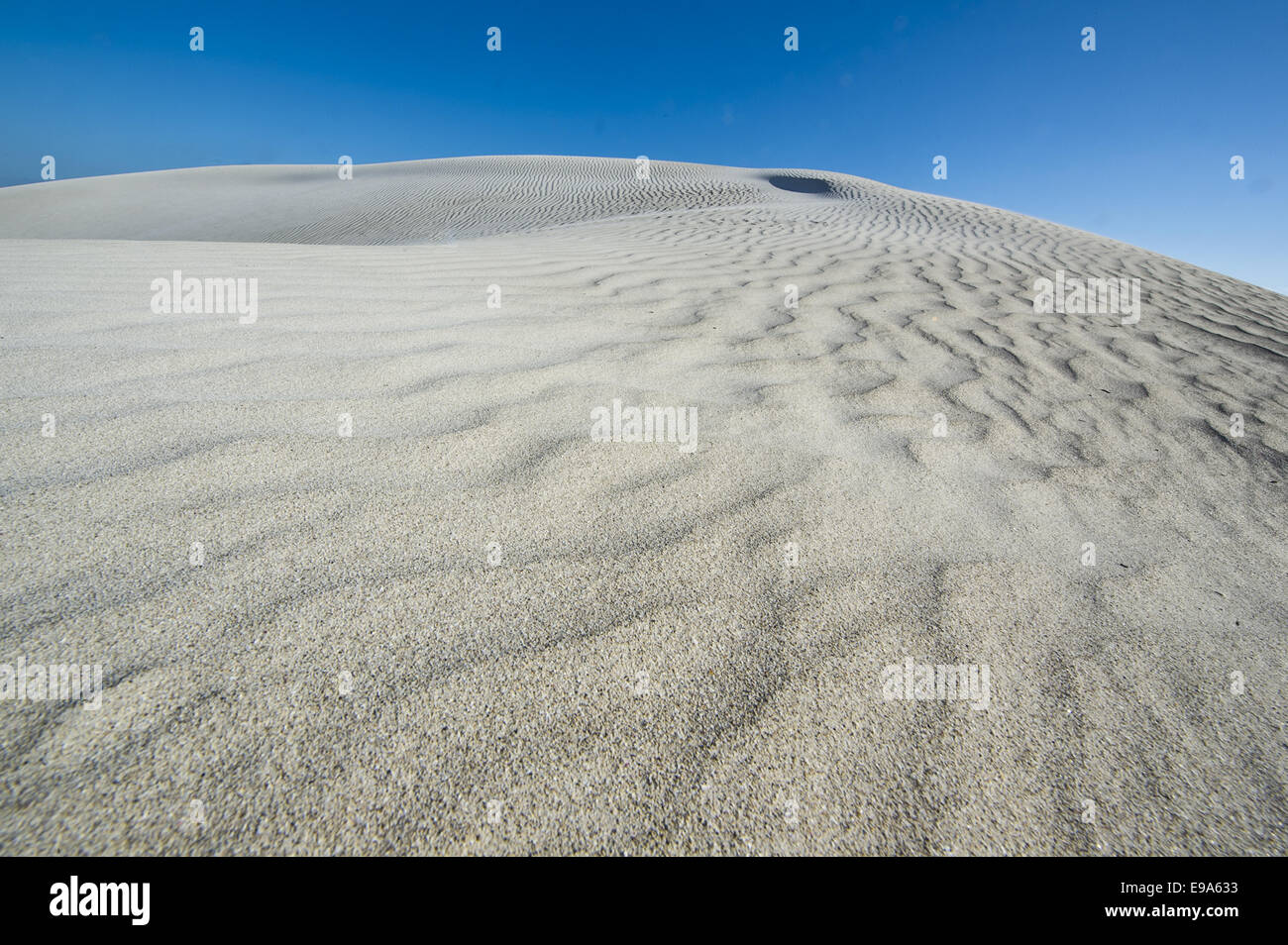 Sand dune in Western Australia Stock Photo - Alamy