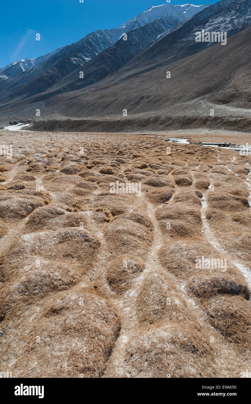 Winter landscape on Changthang, Ladakh Stock Photo - Alamy