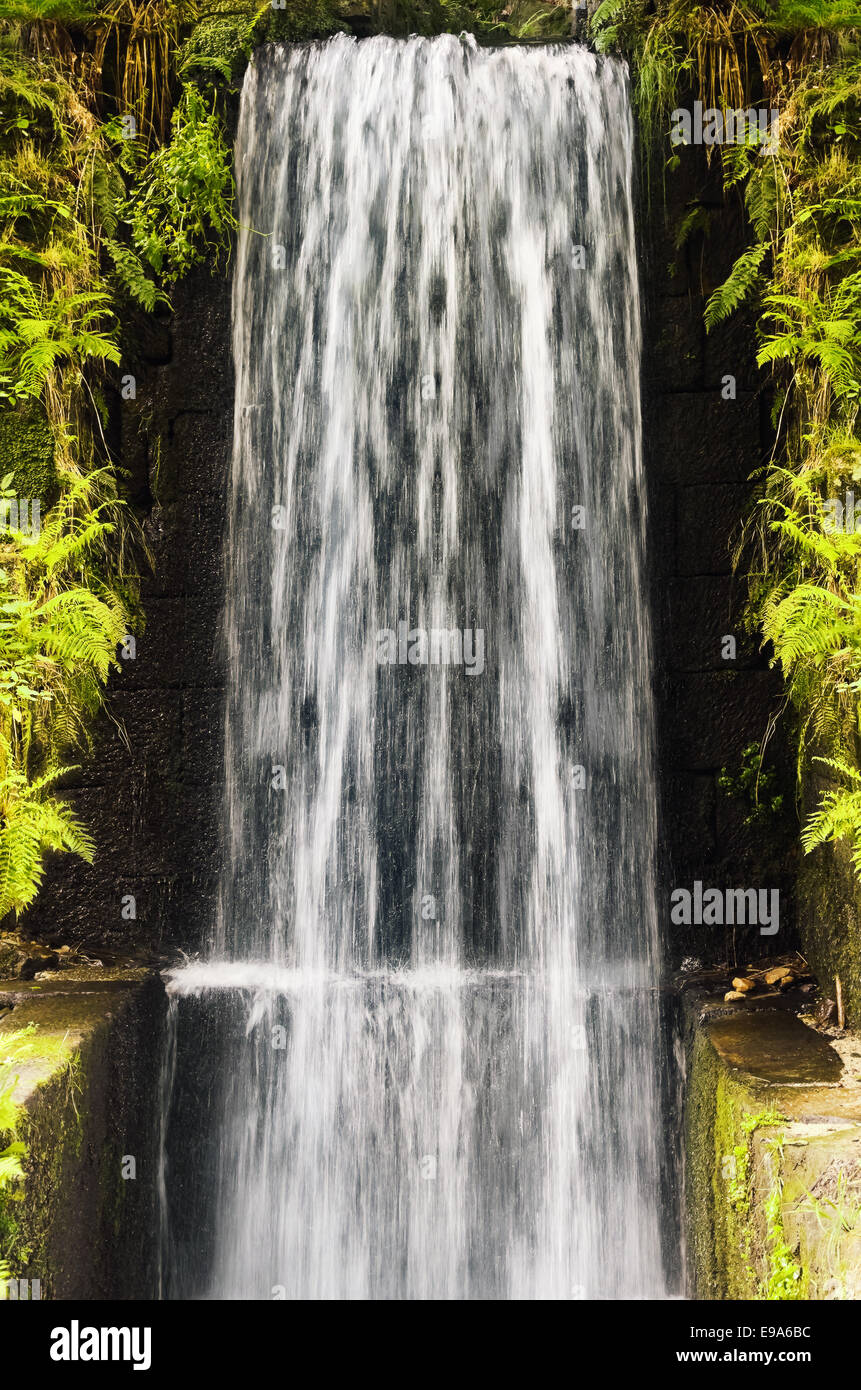 Ecological cascade hi-res stock photography and images - Alamy