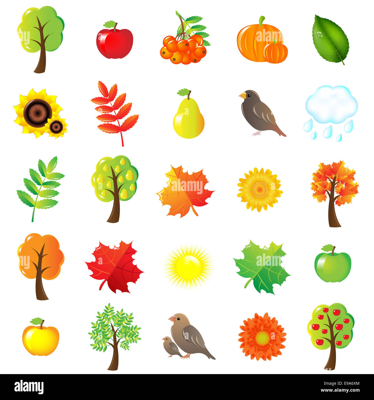 Autumn Symbols And Elements Stock Photo - Alamy