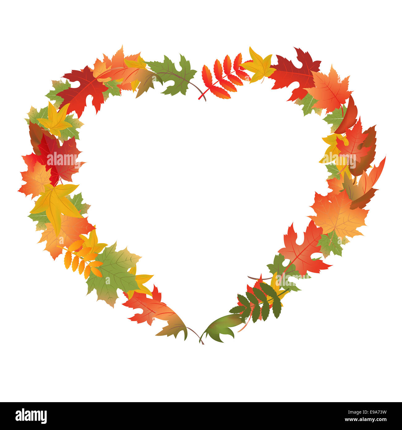 Yellow green leaves deciduous Cut Out Stock Images & Pictures - Alamy