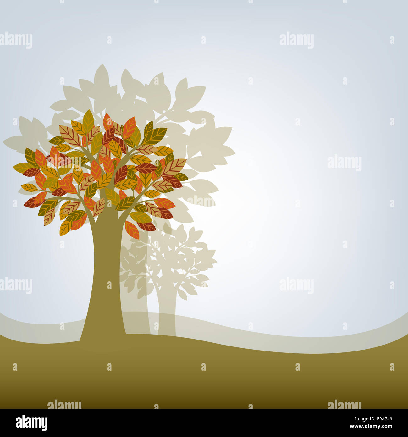 Square root tree hi-res stock photography and images - Alamy