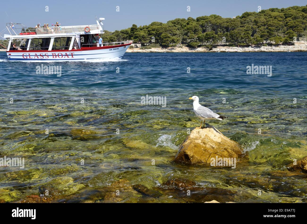 Red Island (Croatia Stock Photo - Alamy