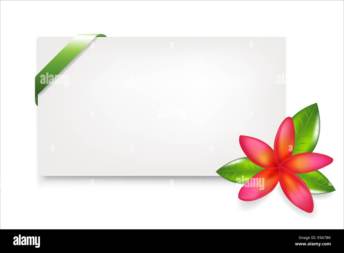 Blank Gift Tag Stock Photo - Alamy Blank Gift Tag Stock Photo - Alamy