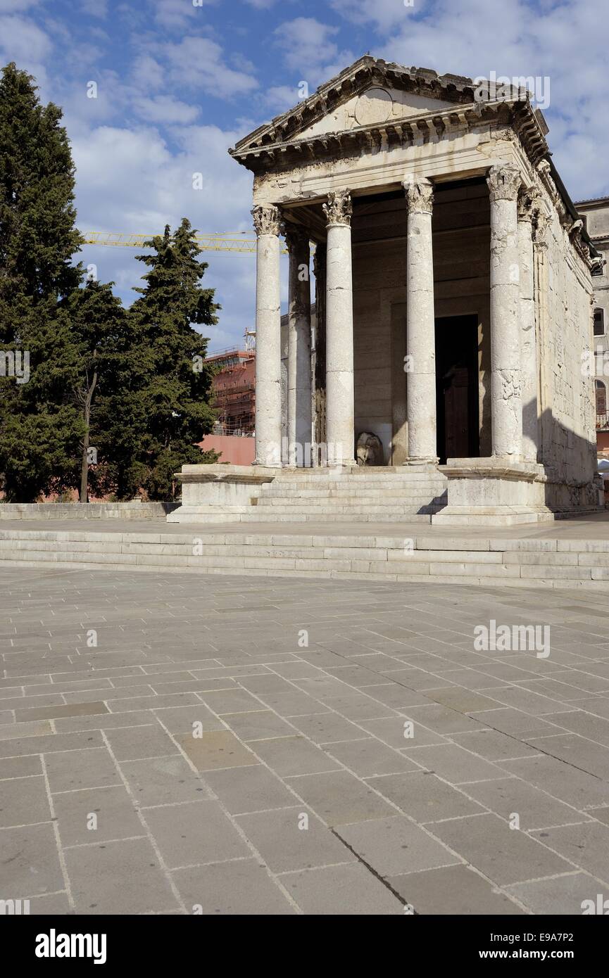 Pula tree hi-res stock photography and images - Alamy