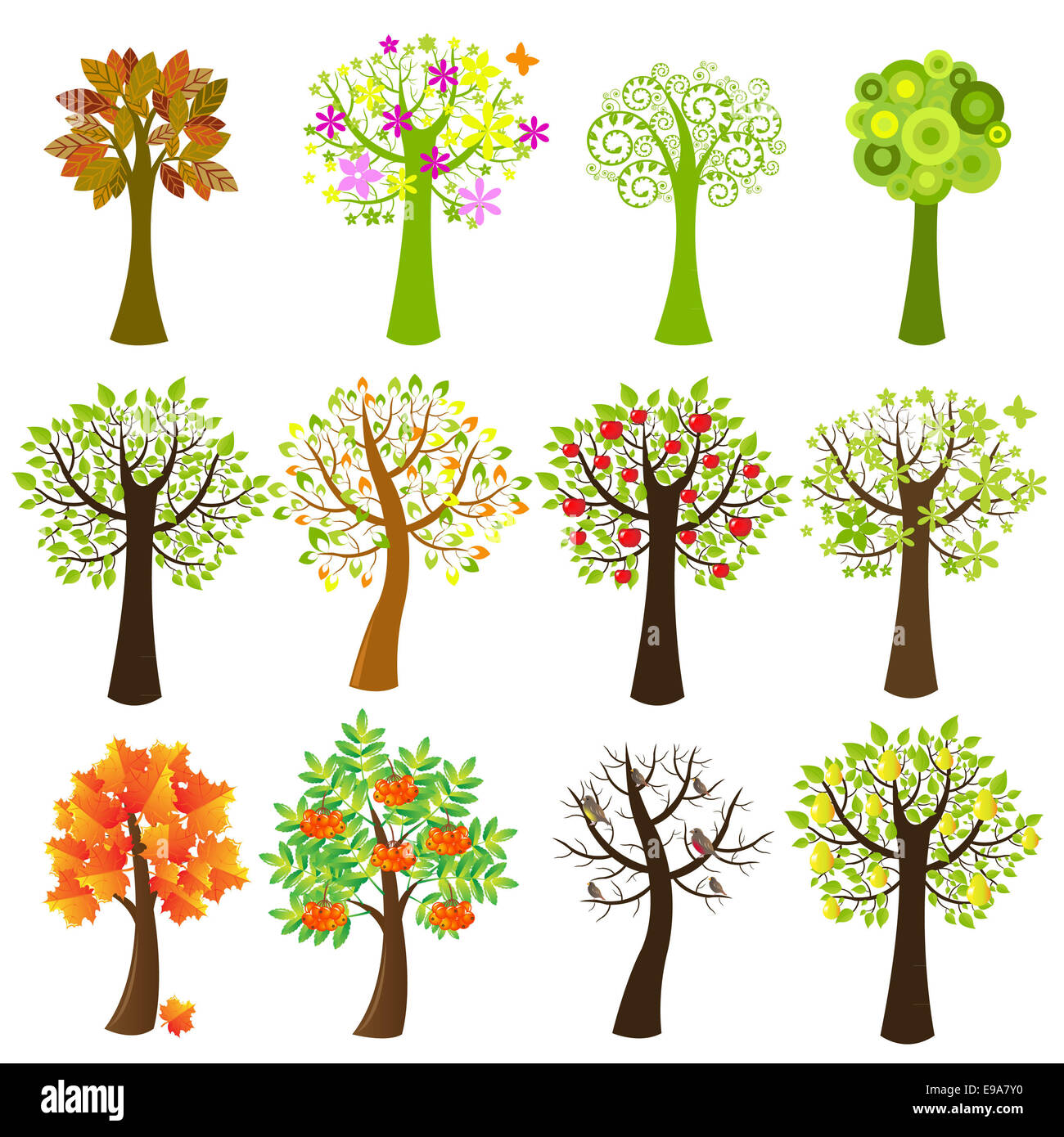 Collection Of Trees Stock Photo - Alamy