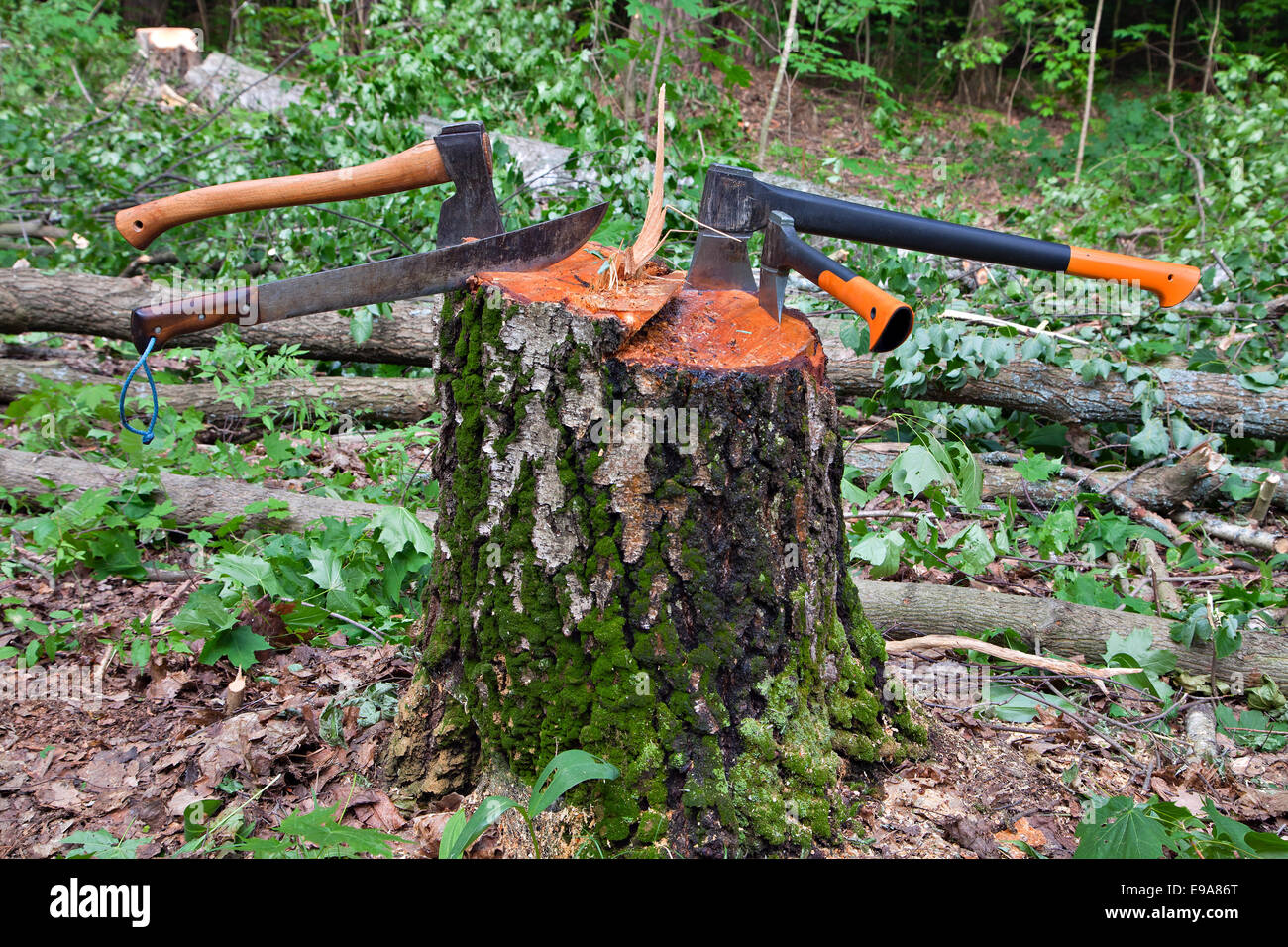 Hatchets hi-res stock photography and images - Alamy