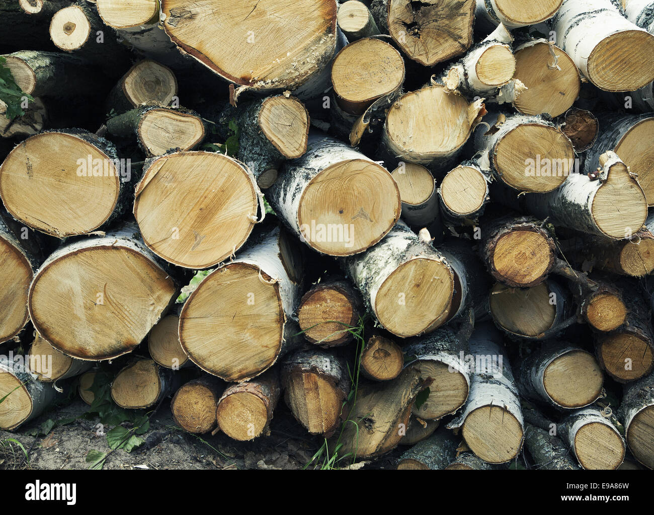 Close-up of big wood stack for background Stock Photo - Alamy