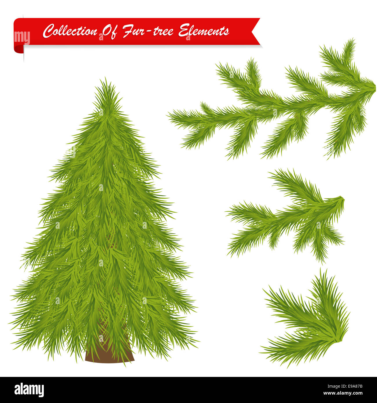 Collection Of Tree Elements Stock Photo - Alamy
