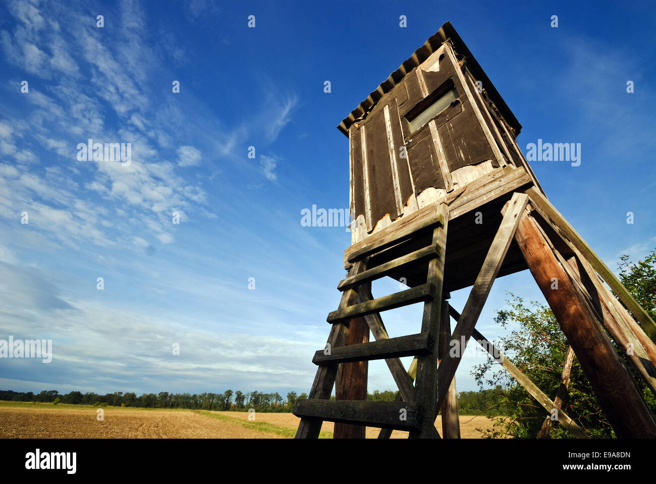 Raised Gun High Resolution Stock Photography and Images - Alamy