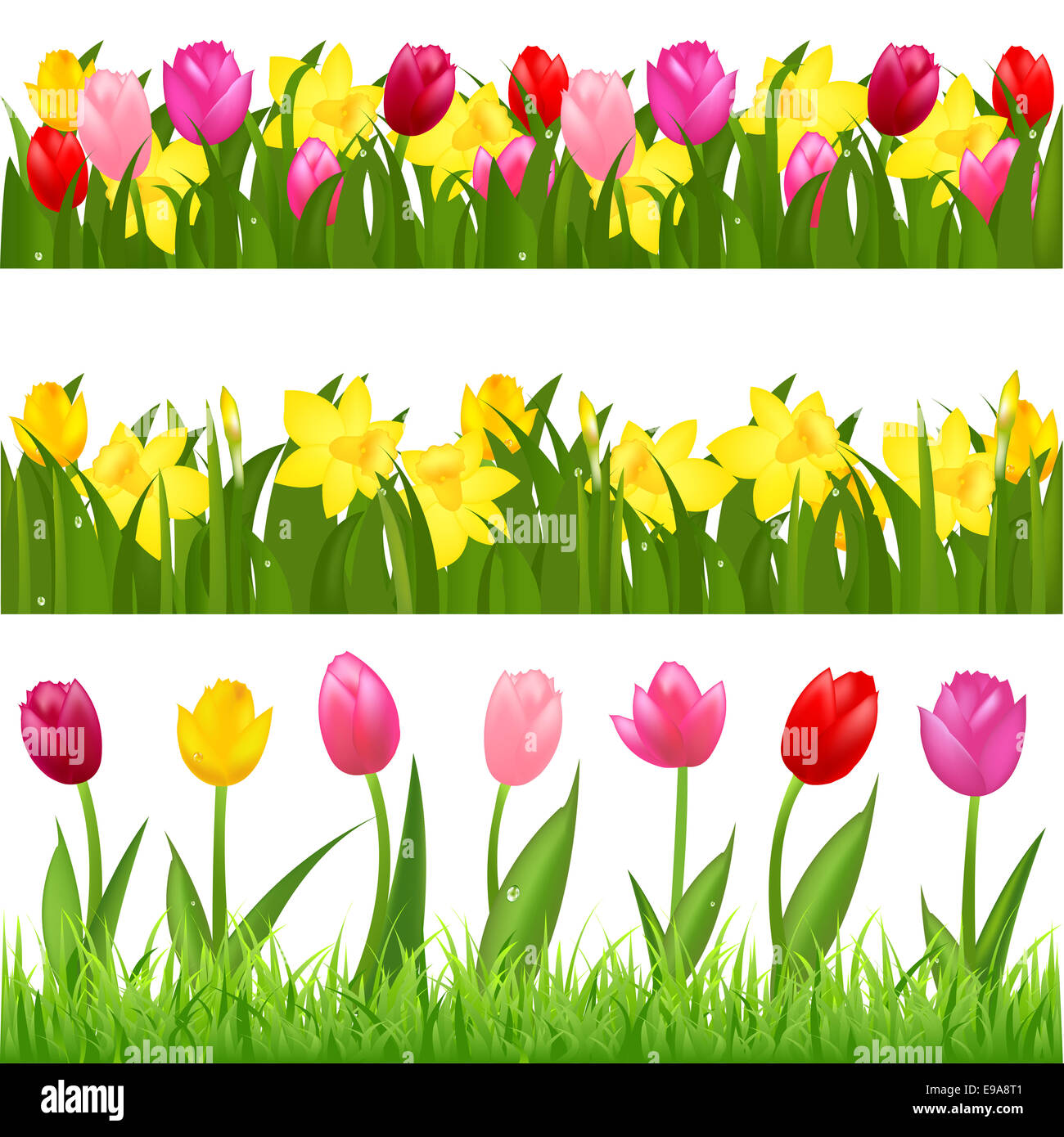 Floral Border For Bulletin Board at Blake Heading blog