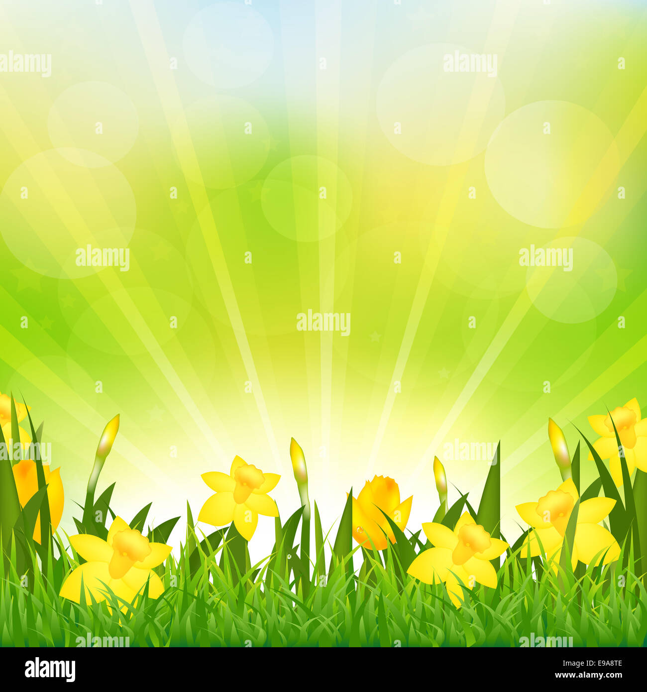 Flowers Easter Background Stock Photo - Alamy