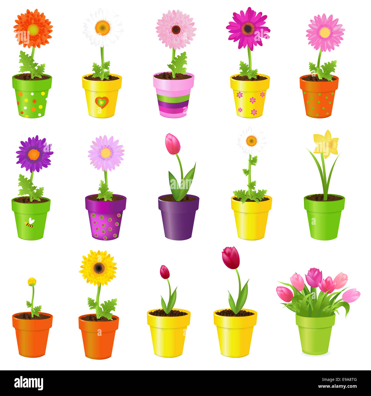 Spotted flower pots hi-res stock photography and images - Alamy